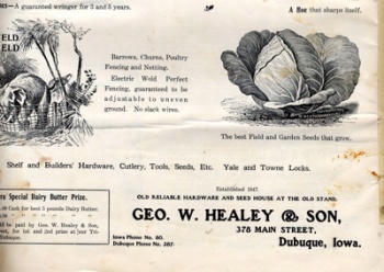 GEORGE W. HEALEY & SON - Encyclopedia Dubuque