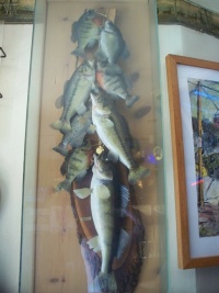 PAUL'S TAVERN - Encyclopedia Dubuque