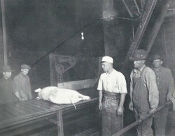 CORN BELT PACKING COMPANY - Encyclopedia Dubuque