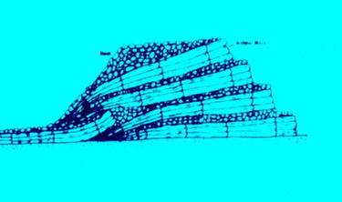 WING DAMS - Encyclopedia Dubuque