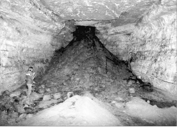 LEVEL CREVICE MINE - Encyclopedia Dubuque