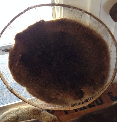 FUR TRADE - Encyclopedia Dubuque