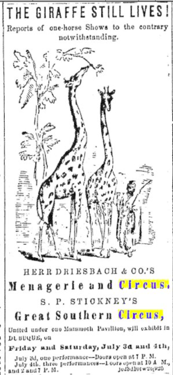 HERR DRIESBACH AND COMPANY'S MENAGERIE AND CIRCUS AND S. P. STICKNEY'S ...