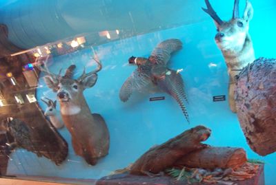 PAUL'S TAVERN - Encyclopedia Dubuque