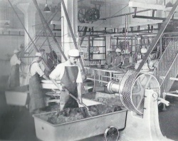 CORN BELT PACKING COMPANY - Encyclopedia Dubuque
